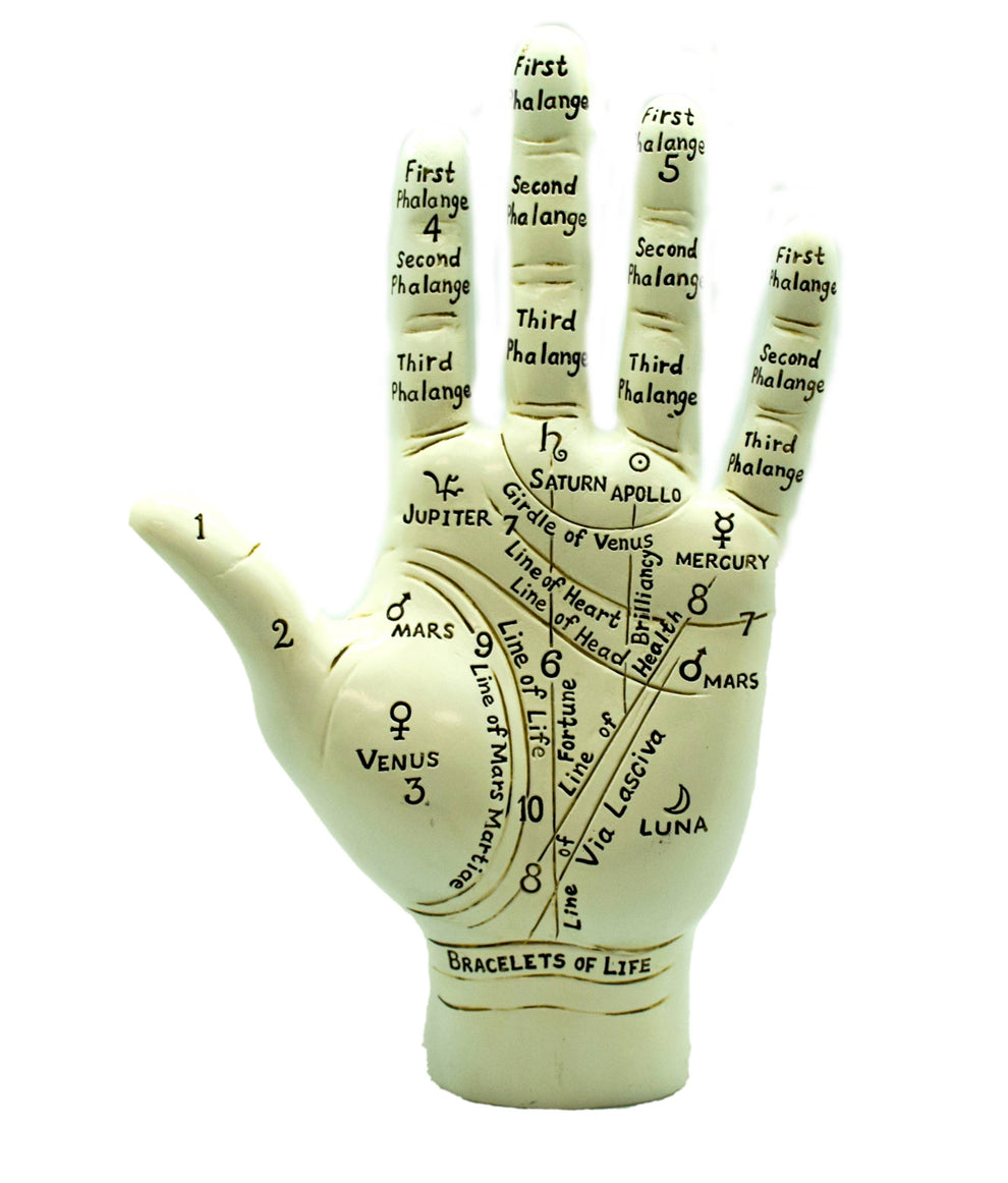 BIG Palmistry Hand – Gemini's Eclectic Emporium