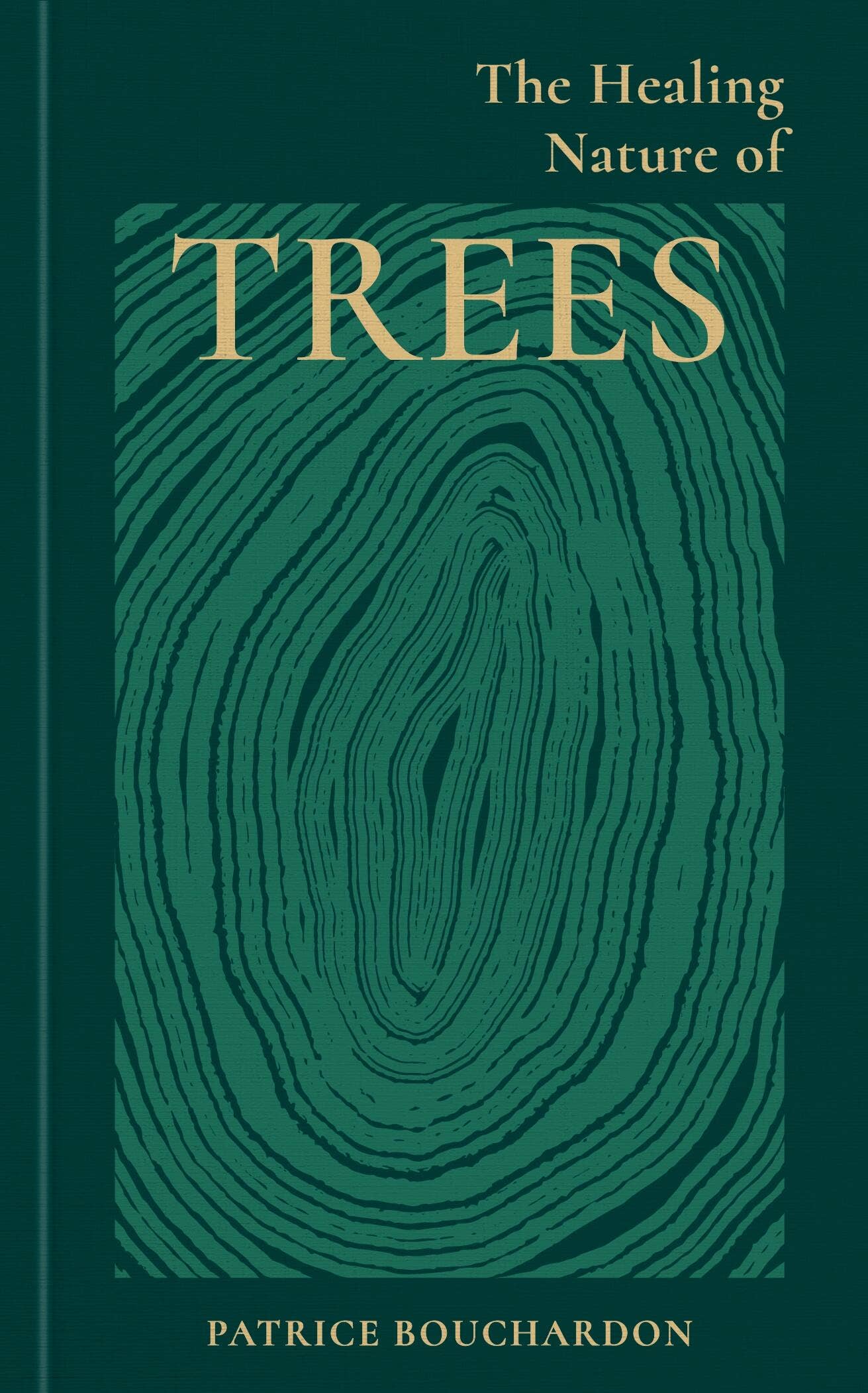 The Healing Nature of Trees – Gemini's Eclectic Emporium